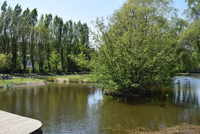Steekpartij vlakbij Koning Boudewijnpark in Jette | BRUZZ