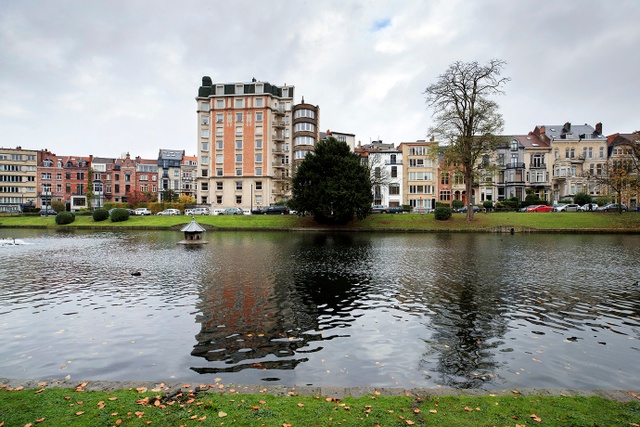 Watervogels sterven in vijvers Elsene | BRUZZ