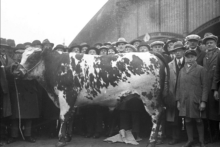 Tien jaar BIG CITY: kijk terug op de interactieve kaart | BRUZZ