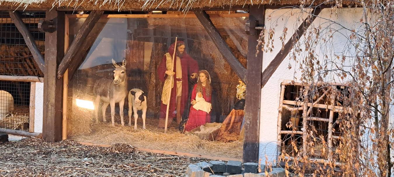 Nieuwe kerststal op de Grote Markt zorgt voor veel discussie: ‘Het is ...