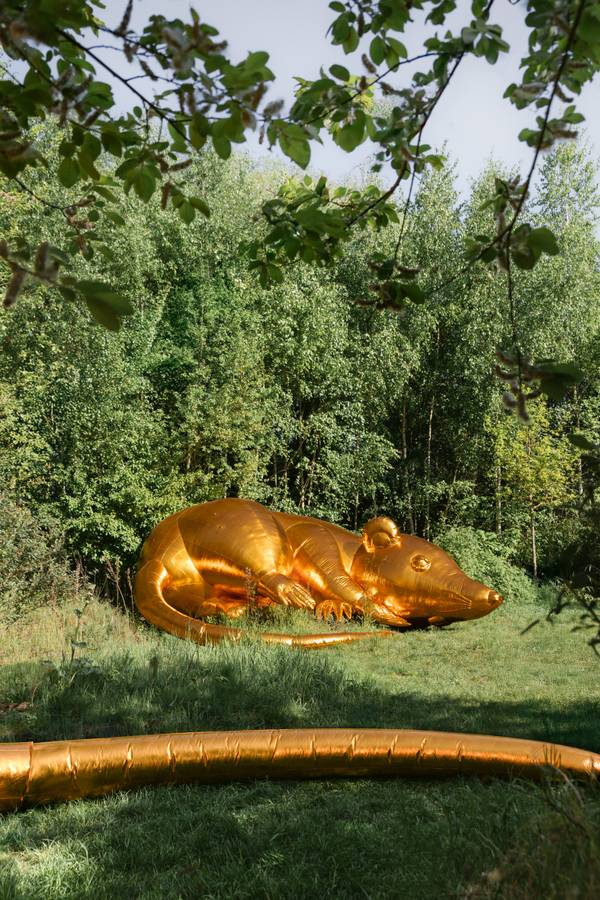 Horst Festival is terug met nieuwe soundarchitectuur en verrassende ...