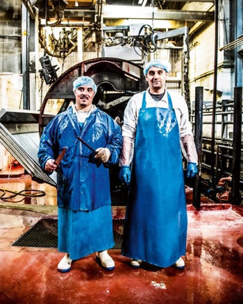 Halal slachten bij Abattoir: onverdoofd, omdat het mag | BRUZZ