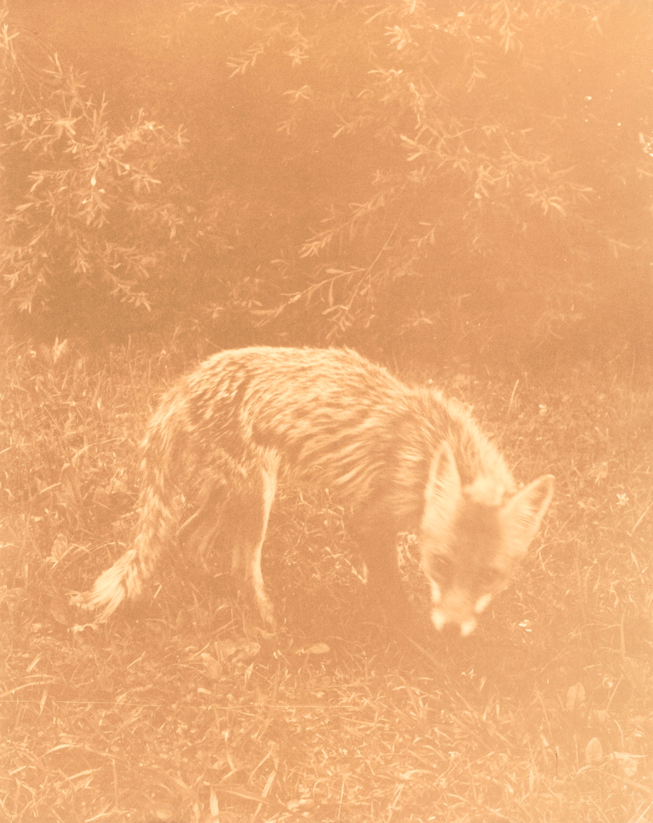 Florence Cats & Joseph Charroy: 'L'amour, c'est une forme de terrain ...