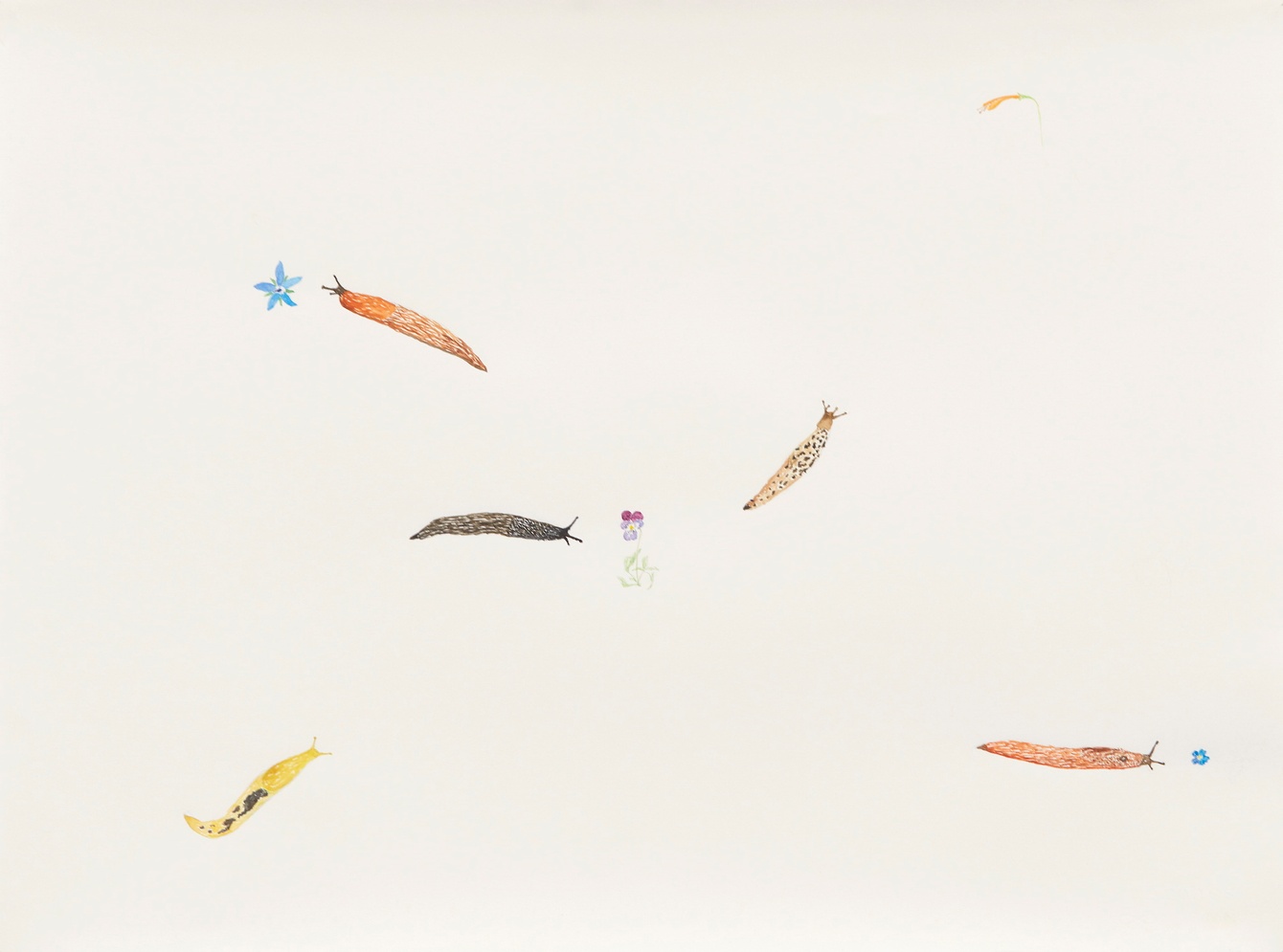 Under the skin: what goes on in the artistic mind of Anne Daems? | BRUZZ