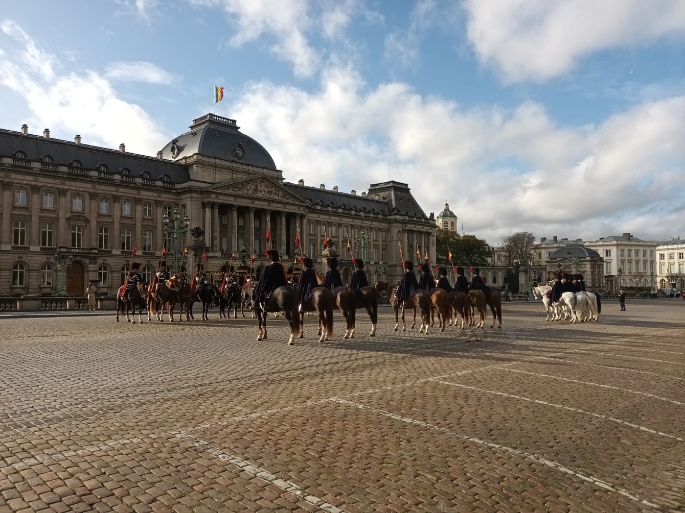 Gezien: koning ontvangt buitenlandse ambassadeurs met defilé | BRUZZ
