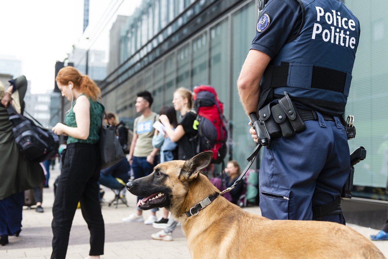 Politiehonden van Brussel-West krijgen ‘steekwerende vesten’ | BRUZZ