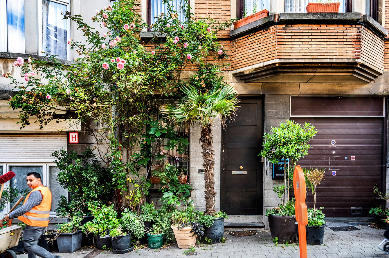 Mohamed Boulahya, le jardinier philosophe: 'Zonder planten verwelkt een ...