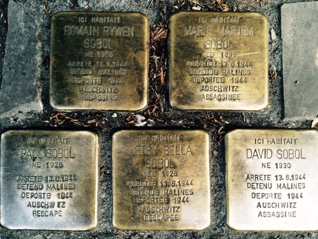 Jongeren poetsten de 458 struikelstenen in Brussel | BRUZZ