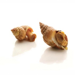 Culinair Ontdekt: Wulken | BRUZZ