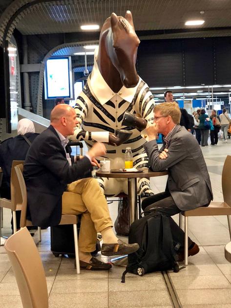 Zebra ‘Sam’ mag in het Zuidstation blijven | BRUZZ