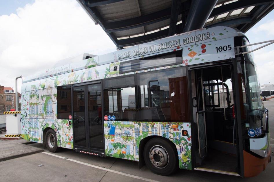 Nieuwe lijn 37 krijgt twee elektrische bussen | BRUZZ