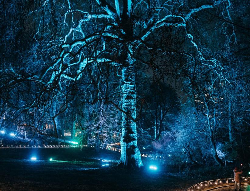 Schaarbeek organiseert lichtfestival Glinstering zonder CST | BRUZZ