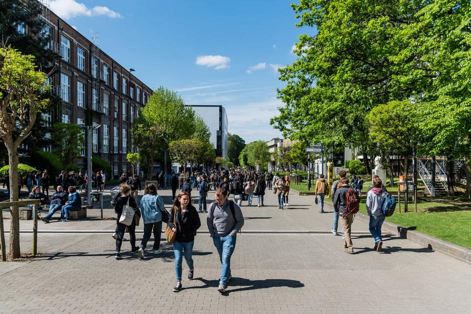 Klacht van studente over transfobie op de campus, ULB reageert: 'Werken ...
