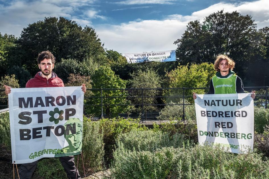 Greenpeace steunt actie in bedreigd natuurgebied Donderberg | BRUZZ