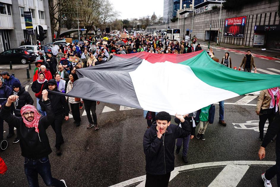Aantal Palestijnse vluchtelingen stijgt fors: ‘Begeleiding is niet op ...