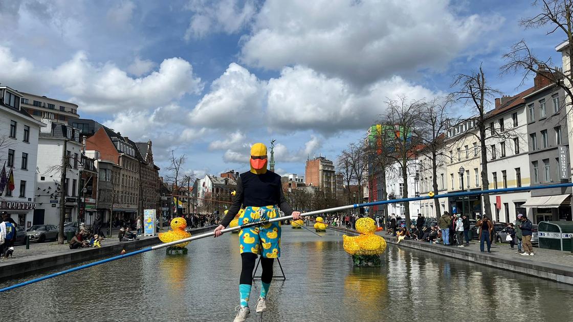 Grote badeenden in vijvers Vismet | BRUZZ
