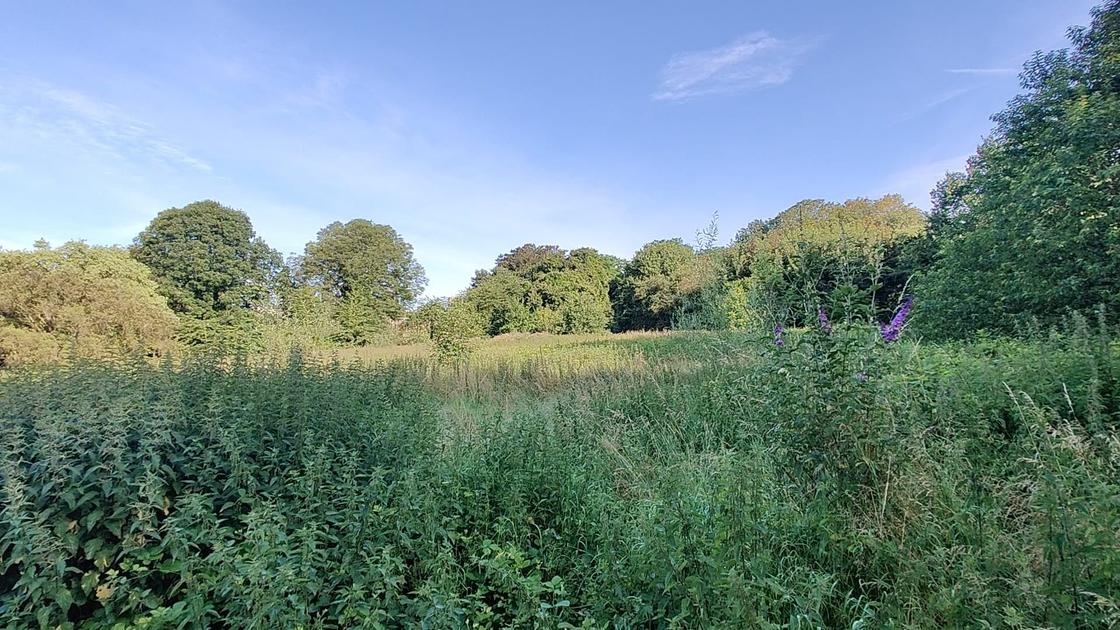 Na decennialange strijd wordt Donderberg een park: 'We hebben een ...