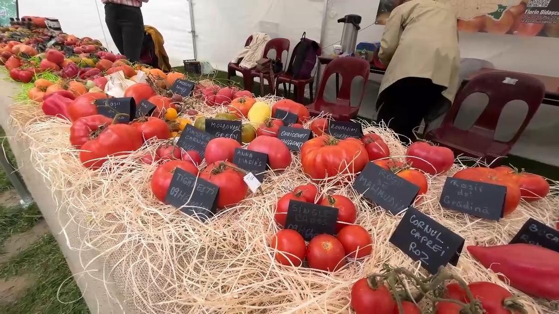 10 jaar Brussels Tomato Festival: van Cornul Caprei tot Aurora of ...