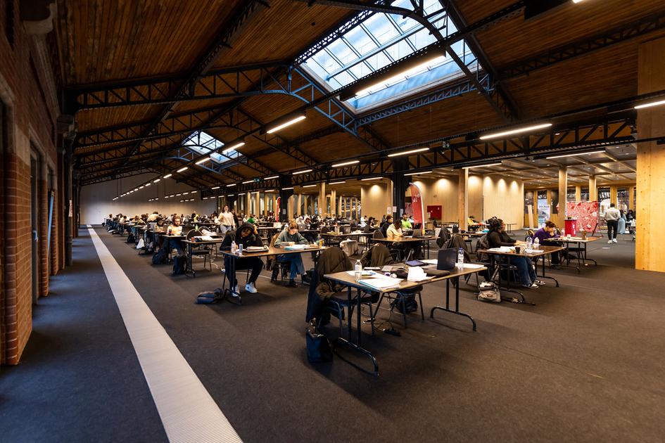 Studeren in kinderboerderij of de Beurs? Brik heropent studeerplekken | BRUZZ