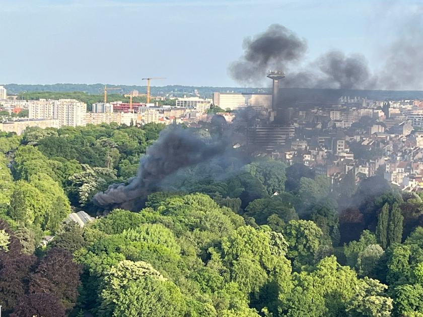 Brand in gemeentelijke serres Josaphatpark onder controle | BRUZZ