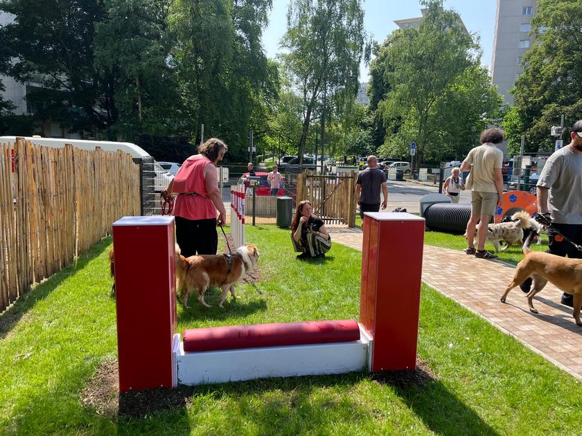 Nieuw hondenpark ingehuldigd in Oudergem | BRUZZ