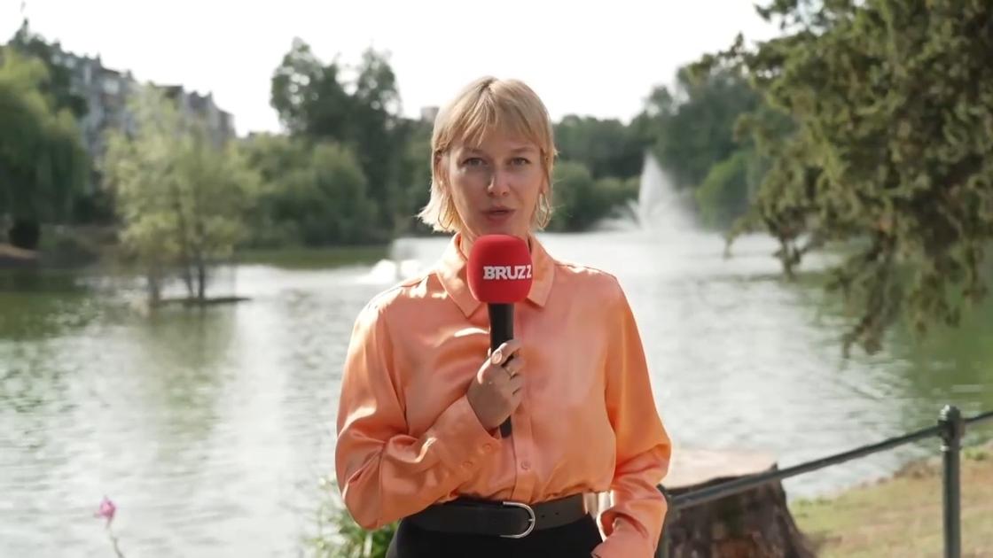 De week van BRUZZ vanaf het Flageyplein | BRUZZ