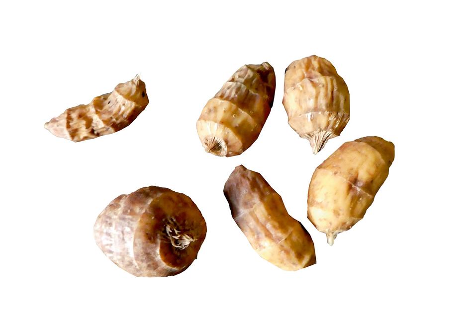 Culinair ontdekt: aardamandel | BRUZZ