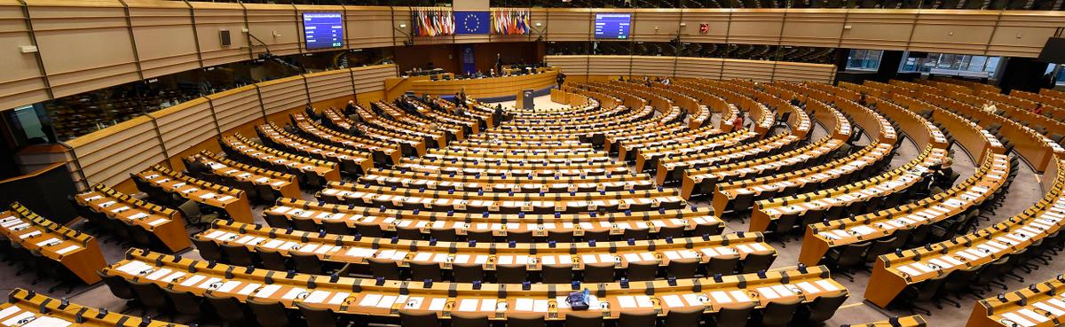 Europees Parlement: Ecolo de grootste, ook Kanko verkozen | BRUZZ