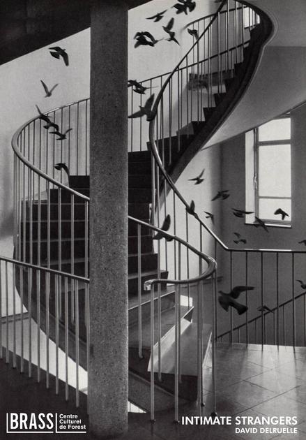 David Delruelle: Cut-and-paste Poetry | BRUZZ