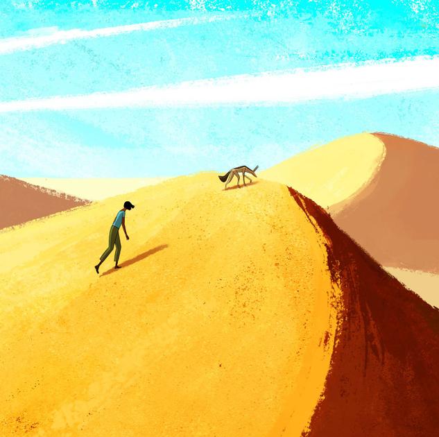 An explosion of colours at the Anima festival | BRUZZ