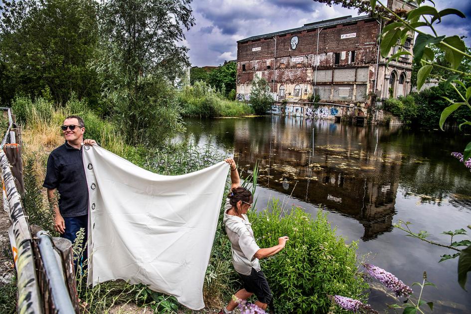 PleinOPENair: ‘Onze films boksen hier op tegen kikkers en treinen’ | BRUZZ