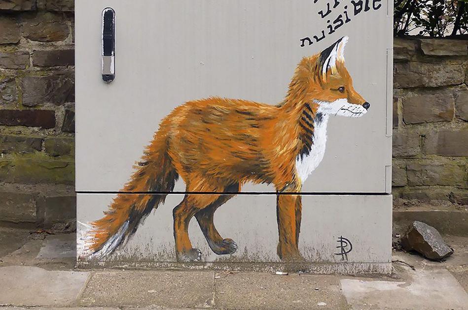 Aaibare portretten zetten rode vos in de verf | BRUZZ