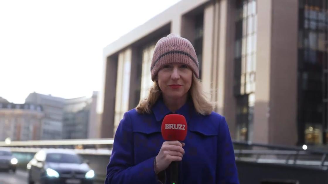 BRUZZ International: zondag 6 november | BRUZZ