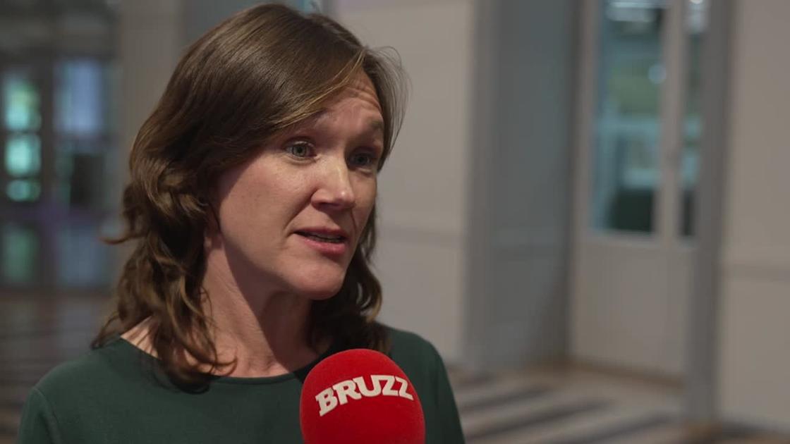 Hannelore Goeman (Vooruit) over Vlaamse besparingen: 'Brussel ...