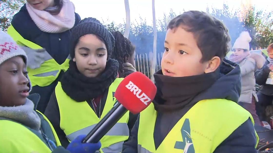 Eerste nestelbos van Brussel geopend in Anderlecht | BRUZZ