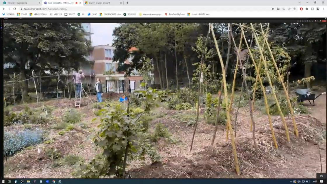 La Parcelle in Anderlecht: meer dan een collectieve moestuin | BRUZZ