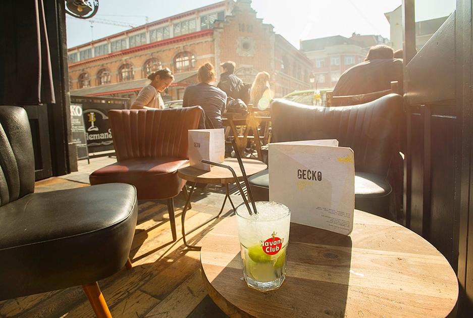 Café: Gecko | BRUZZ