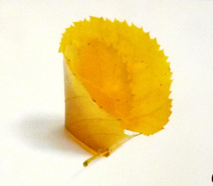 Grouwels onthult nieuwe kunstwerken in metro Demey | BRUZZ