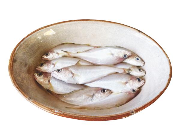 Culinair ontdekt: steenbolk | BRUZZ