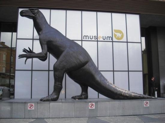 Museum voor Natuurwetenschappen derde beste dinomuseum | BRUZZ