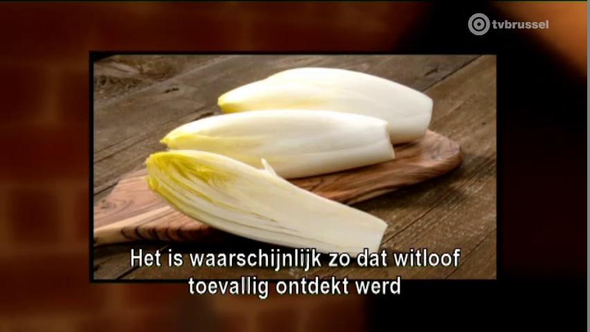 De geschiedenis van het witloof: deel 1 | BRUZZ