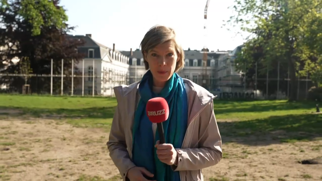 De week van BRUZZ vanuit het Egmontpark | BRUZZ