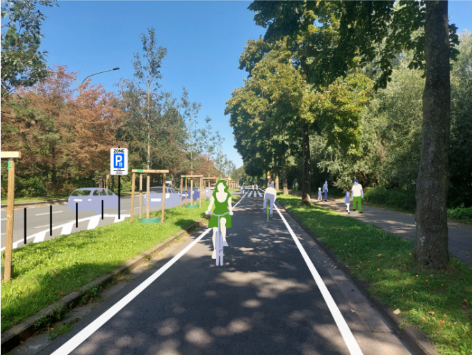 Werken nieuw fietspad op de Woluwelaan gestart | BRUZZ